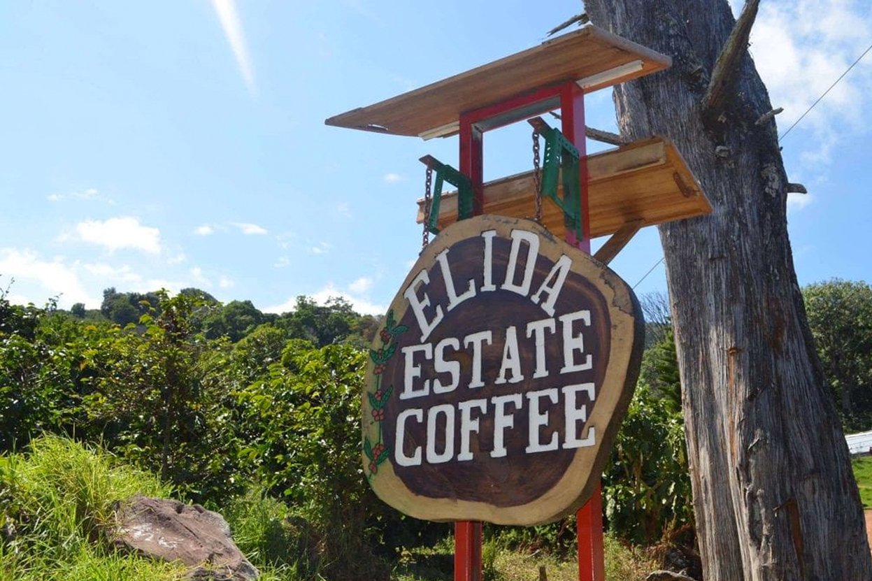 Dragonfly Coffee Roasters | Panama Elida Natural | Bean Box®